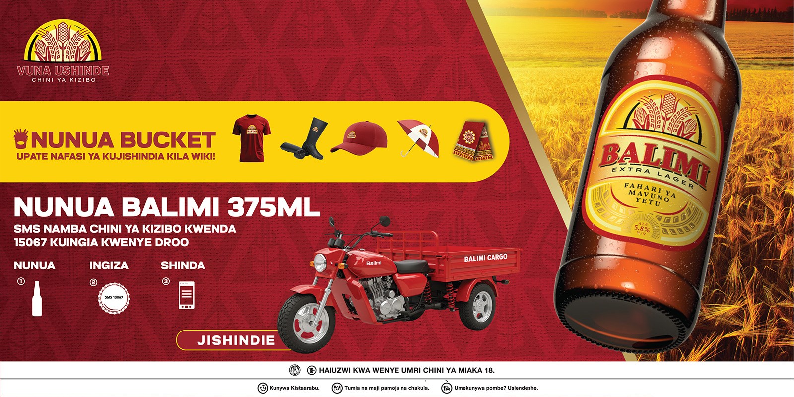 Welcome to Balimi Vuna Tena Shinda Tena Promotion | Balimi Tanzania ...